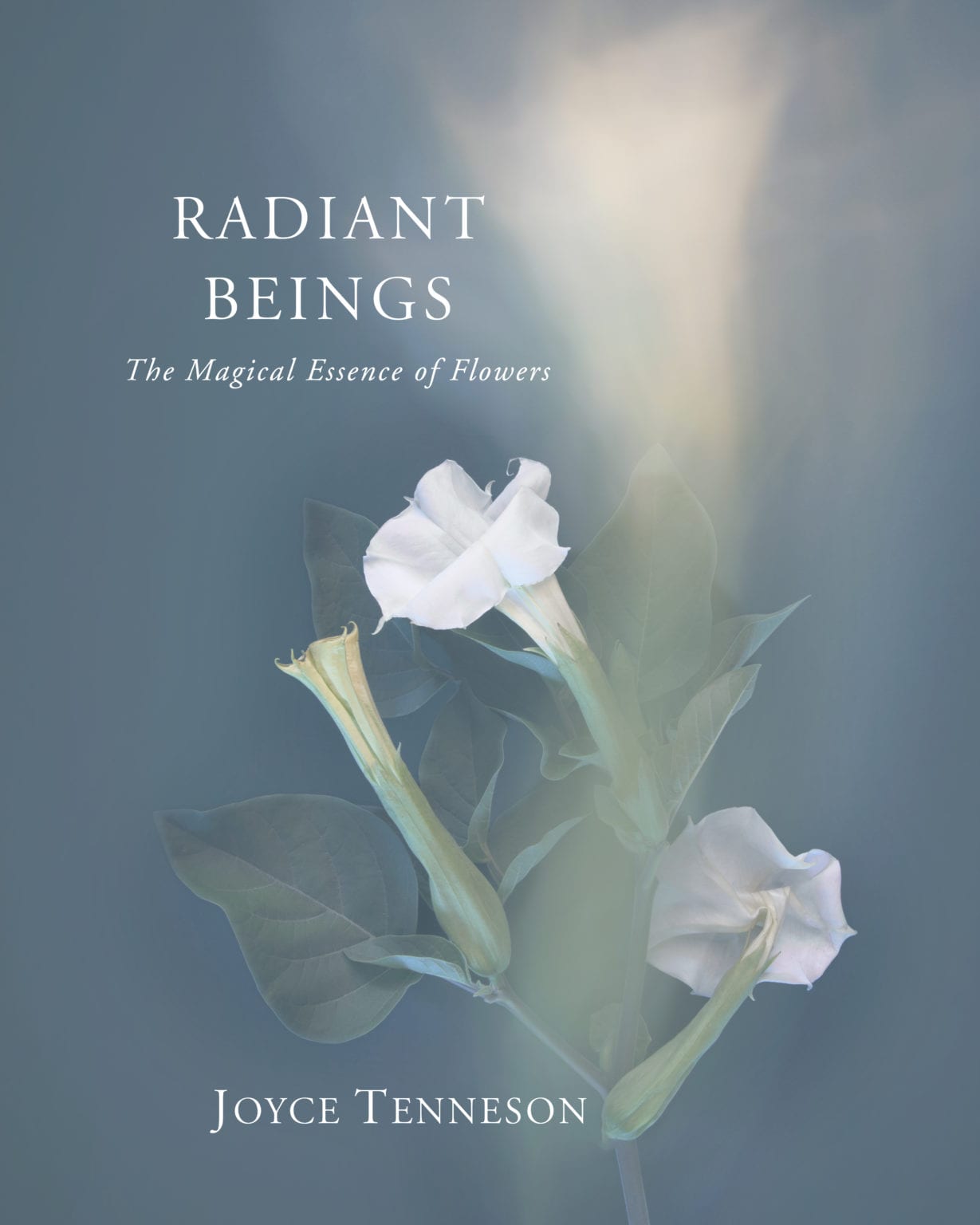 Joyce Tenneson - Santa Fe Workshops