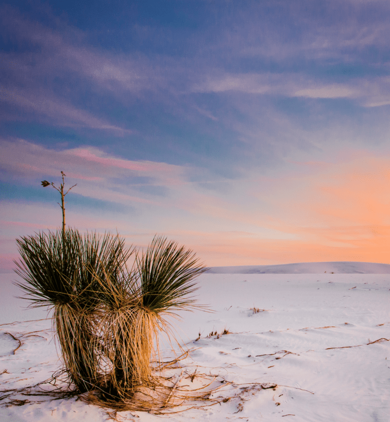 White Sands, New Mexico: Capture to Print - Santa Fe Workshops