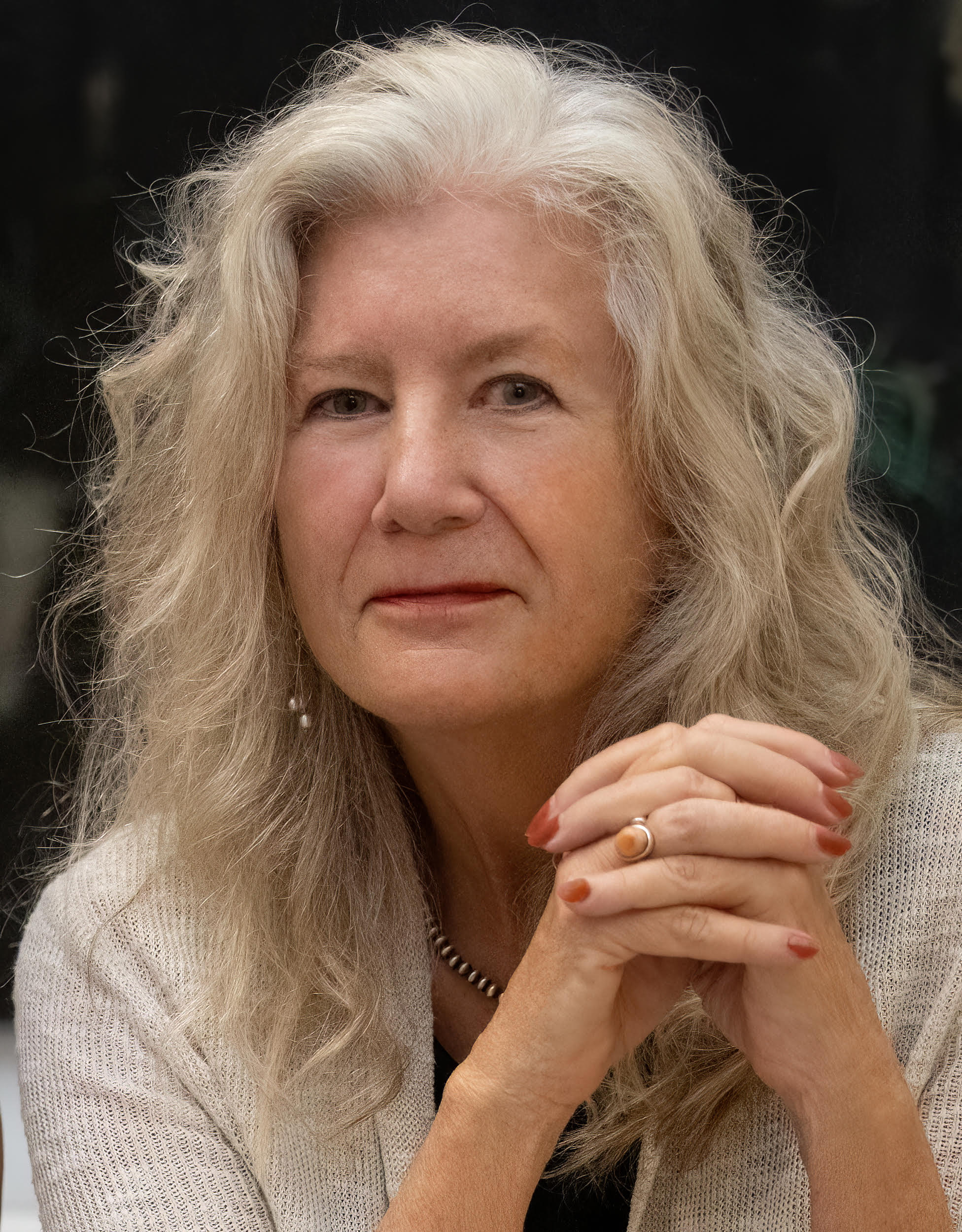 Mary Virginia Swanson - Santa Fe Workshops