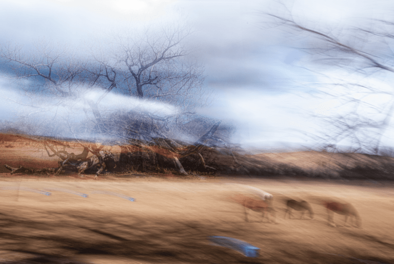 Creative Vision: ME + ICM - Santa Fe Workshops