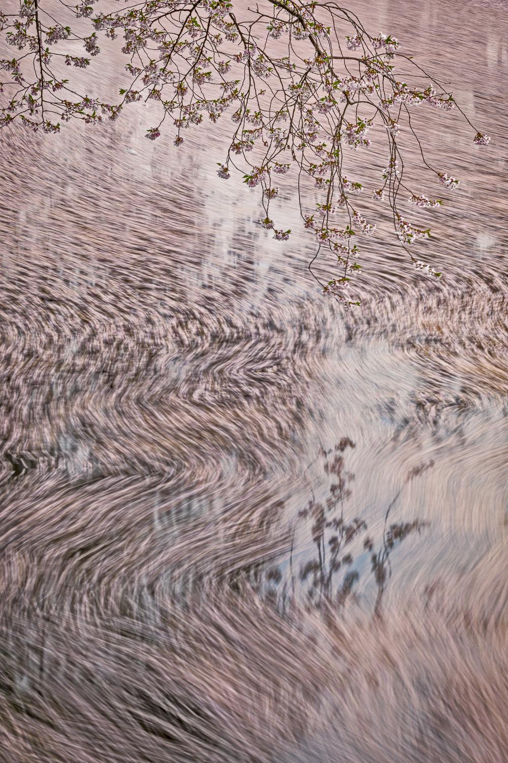 In Nature’s Embrace - Santa Fe Workshops