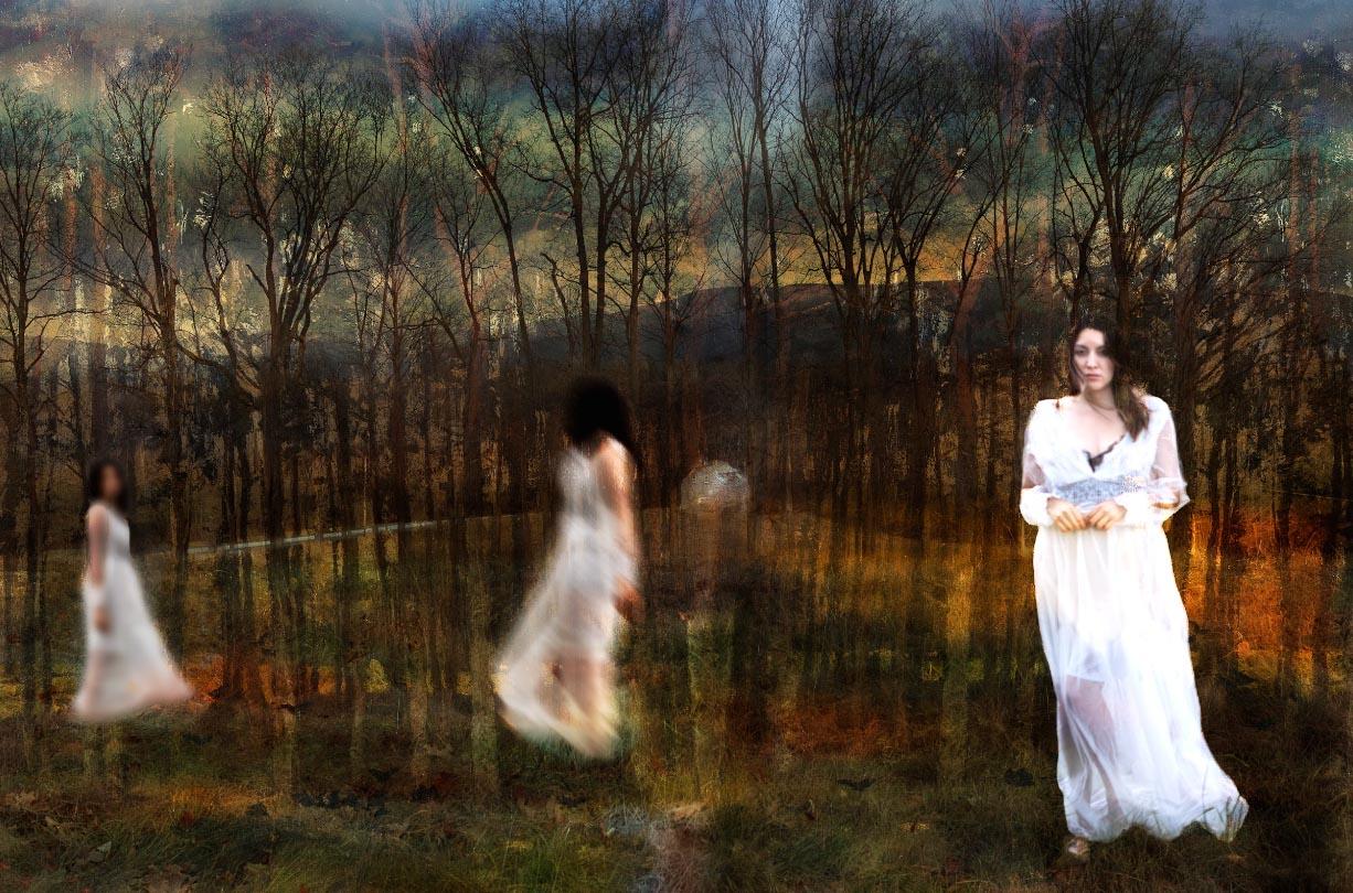 Introduction to ICM and ME - Santa Fe Workshops