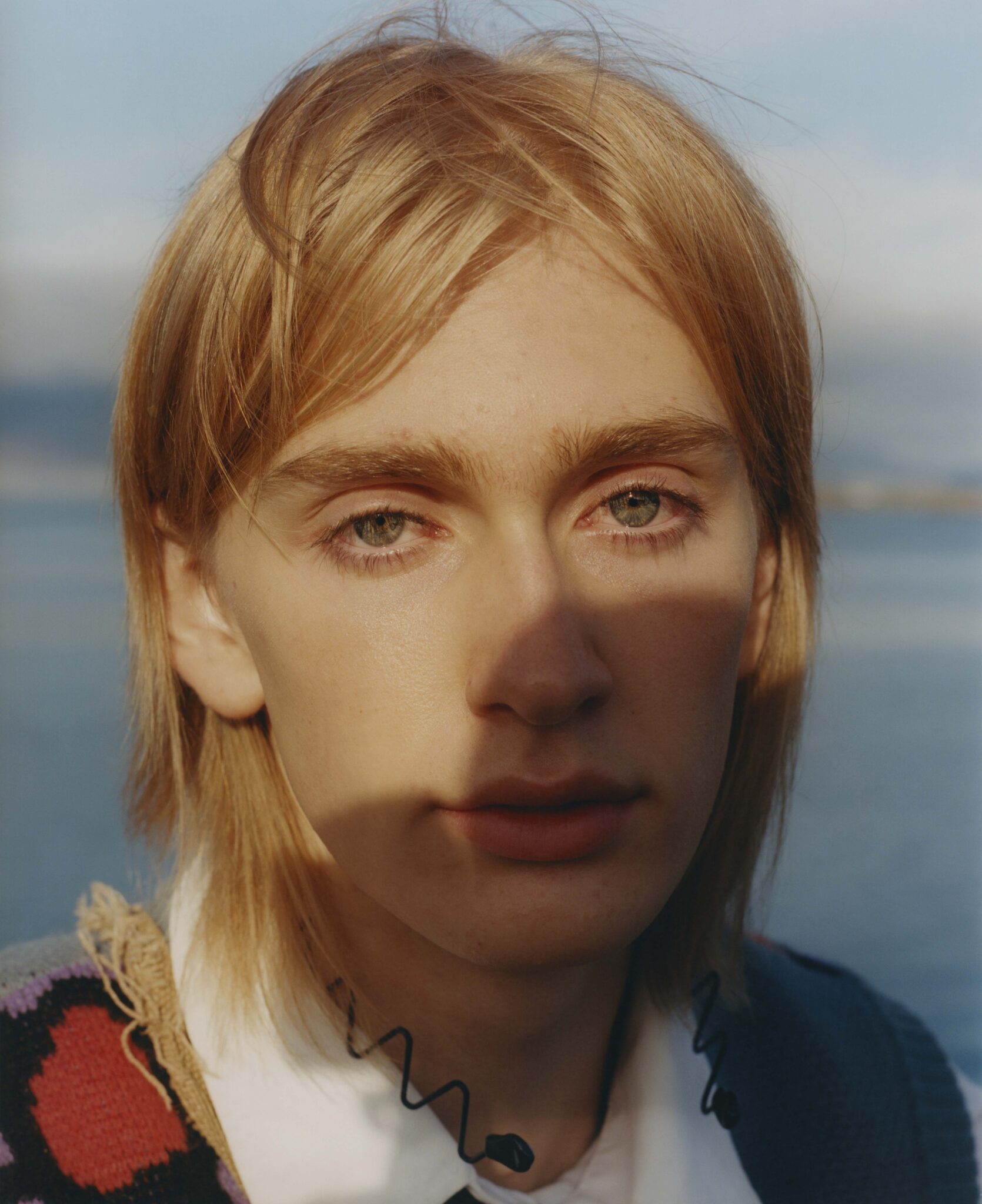 David Snyder - Santa Fe Workshops